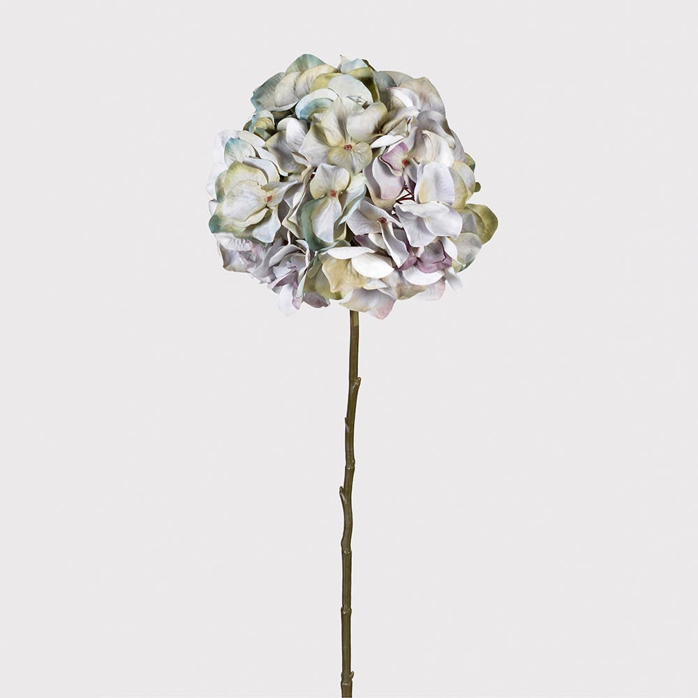 Pale Lavender Hydrangea - Stems & Son