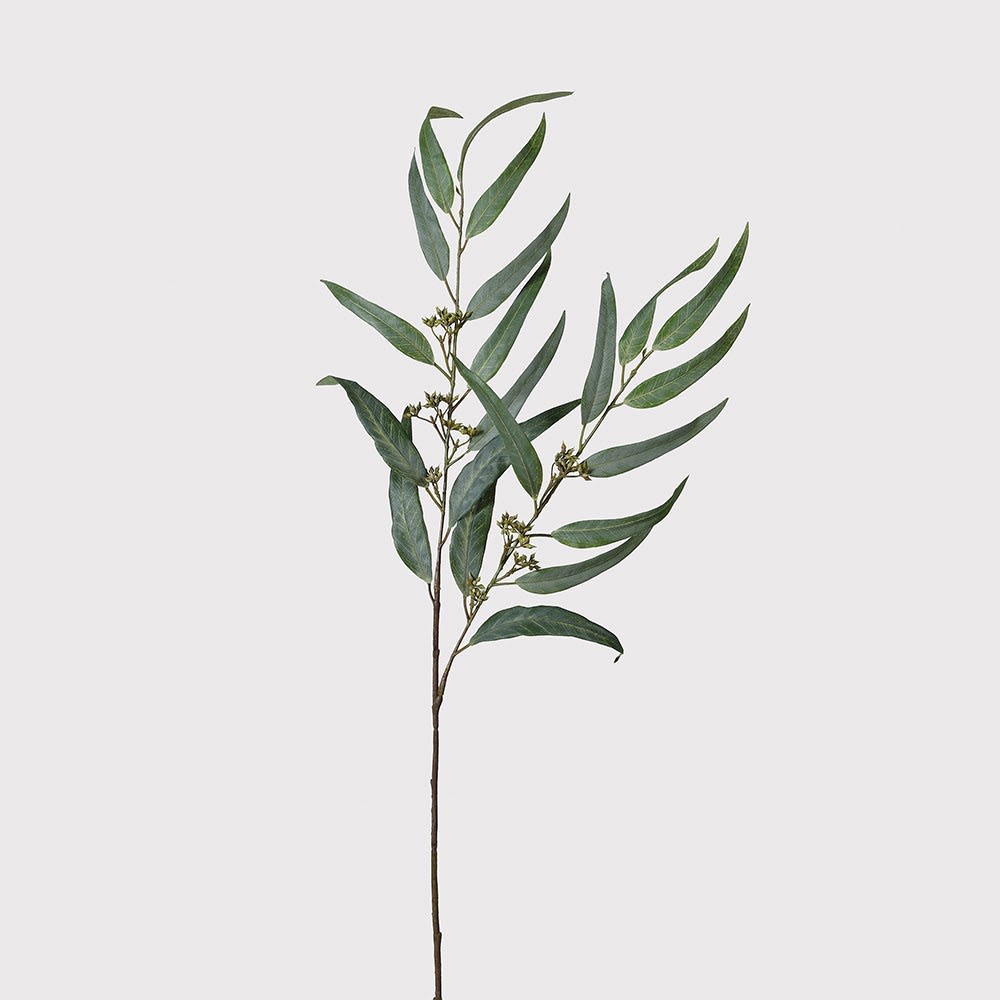 Green Willow Eucalyptus Spray - Stems & Son