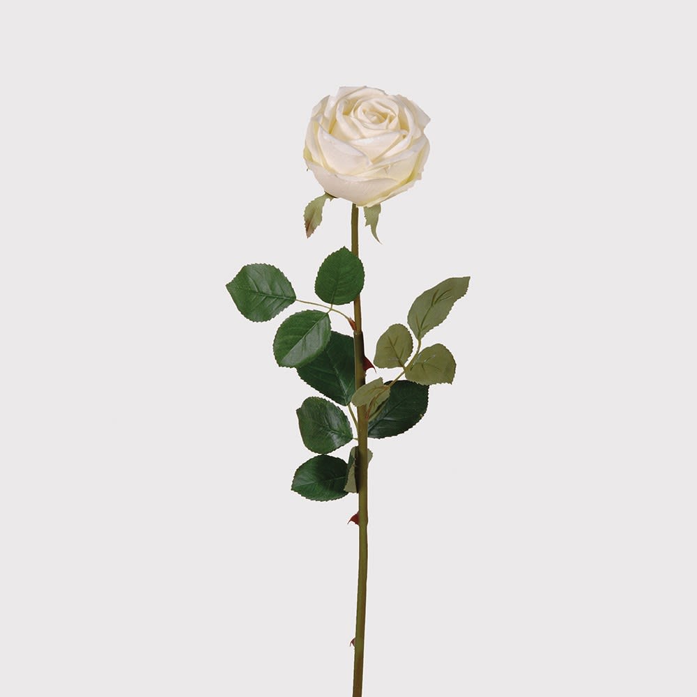 Vienna White Rose - Stems & Son