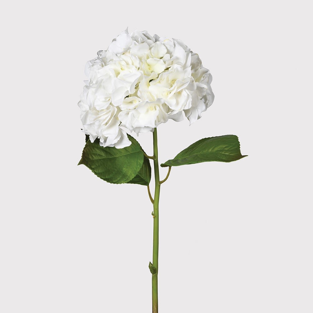 'Real Feel' White Hydrangea with Leaves - Stems & Son